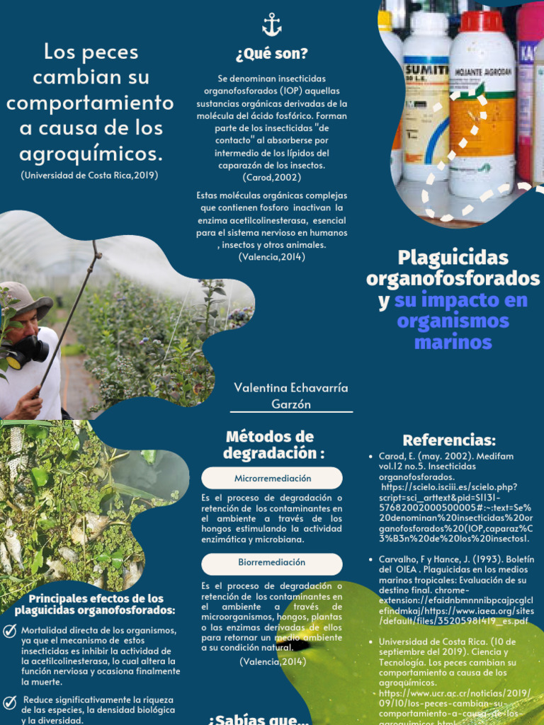 Echavarría V Folleto 2 Plaguicidas Organofosforados Pdf Pesticida