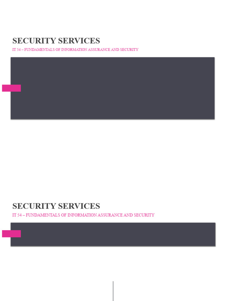 Security Services | PDF