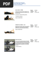 Sahrmann Core Stability Test Levels | PDF