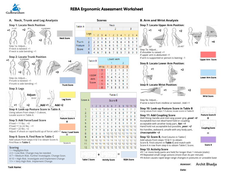 Ergonomic Assessment | PDF | Anatomical Terms Of Motion