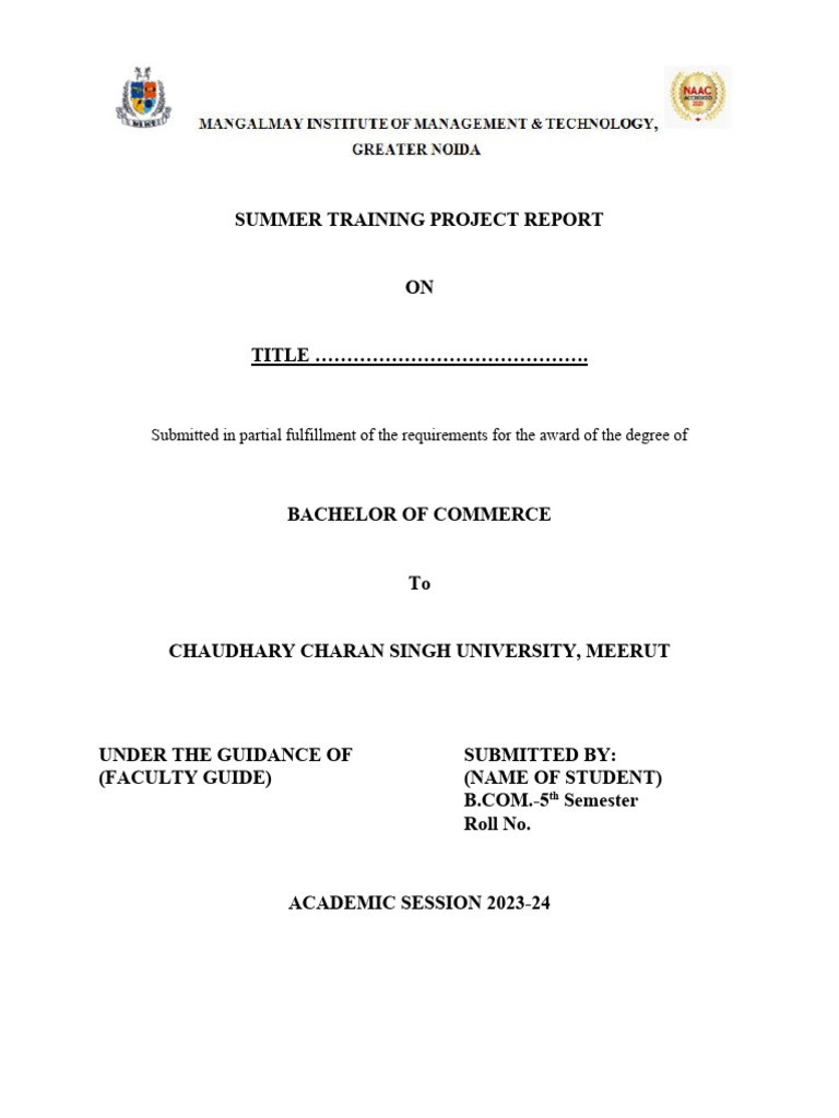 Summer Training Project Report | PDF | Art