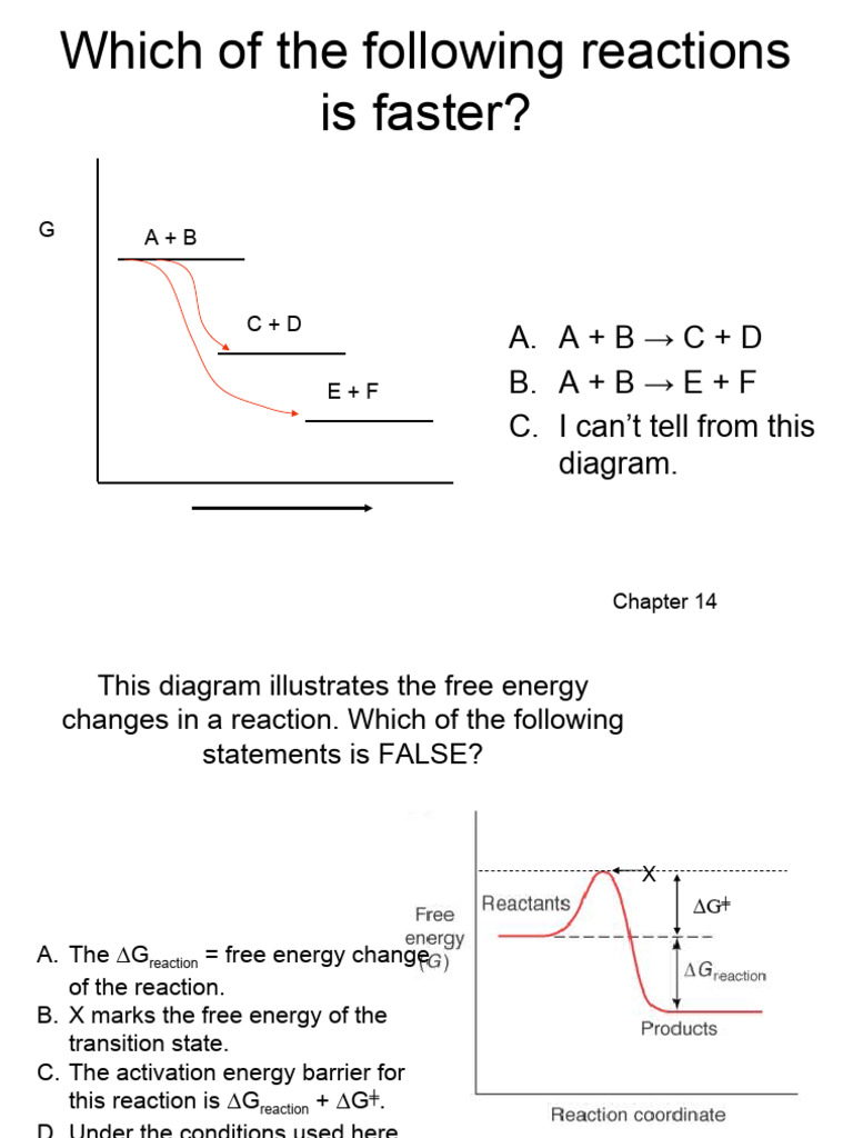 CH 14 | PDF | Enzyme | Chemical Reactions