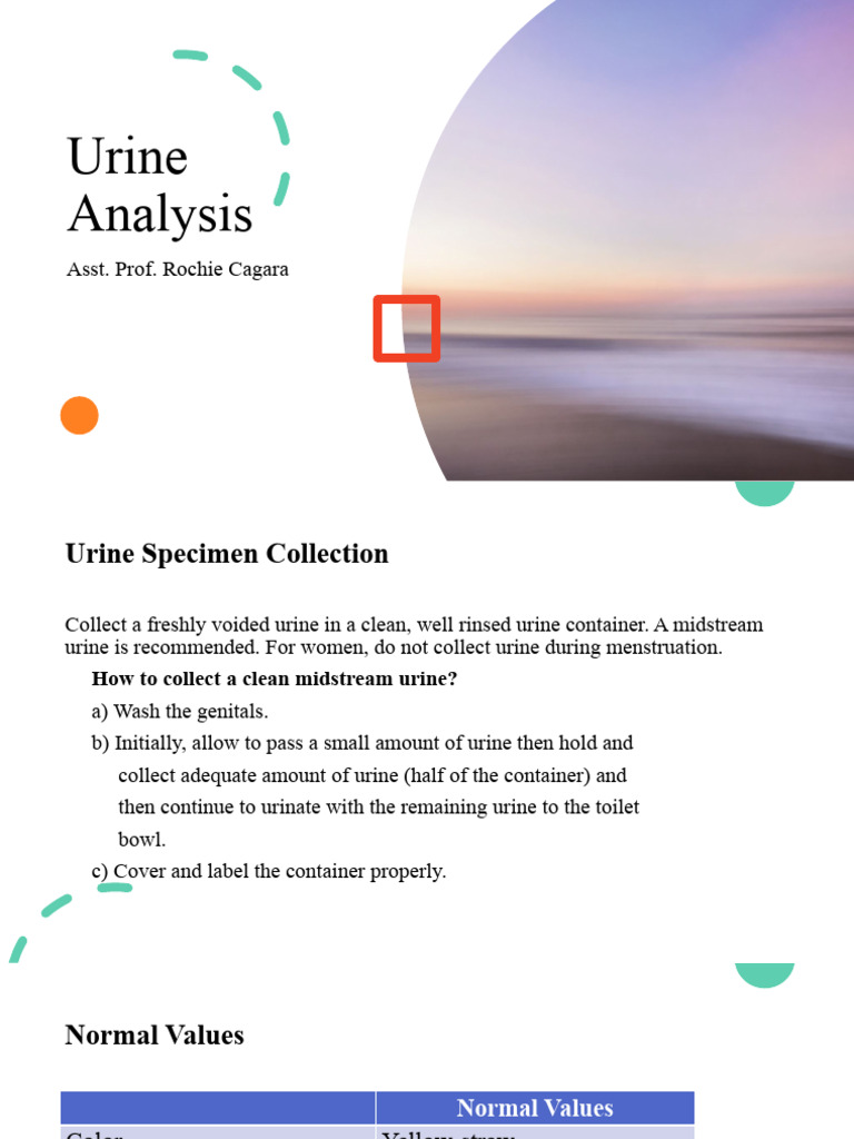Urine Analysis | PDF | Urine | Urinary Tract Infection
