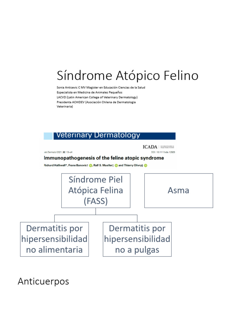 Síndrome Atópico Felino y Anticuerpos | PDF | Alergia | Inmunología