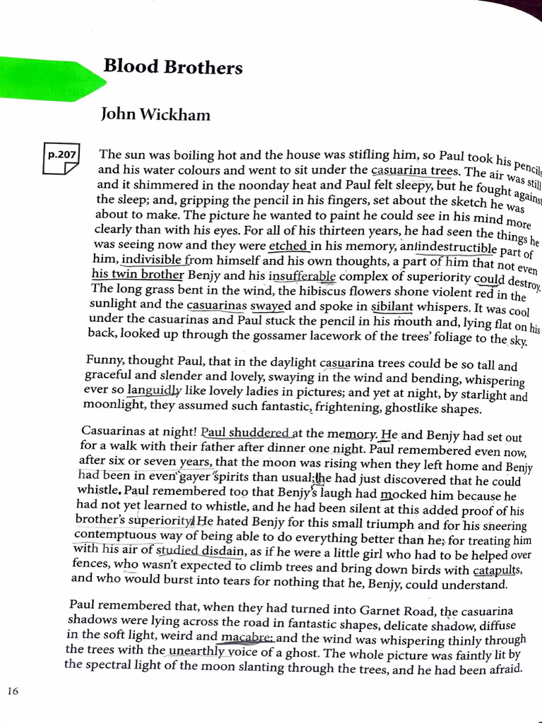 Blood Brothers | PDF | Light