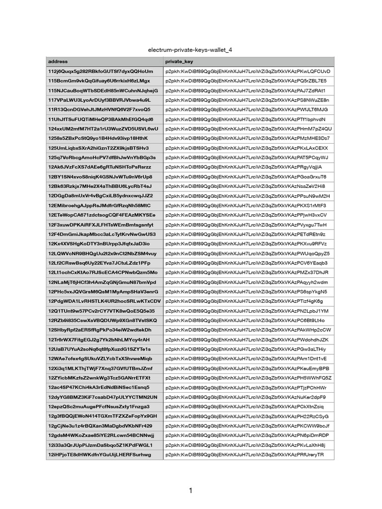 Electrum Private Keys Wallet - 4 | PDF | Application Layer Protocols ...