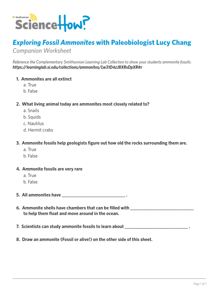 Ammonite Worksheet | PDF | Paleontology | Fossil
