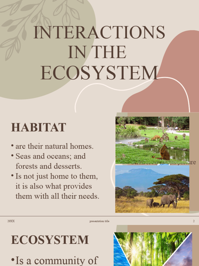 Ecosystem Interactions and Human Impact | PDF