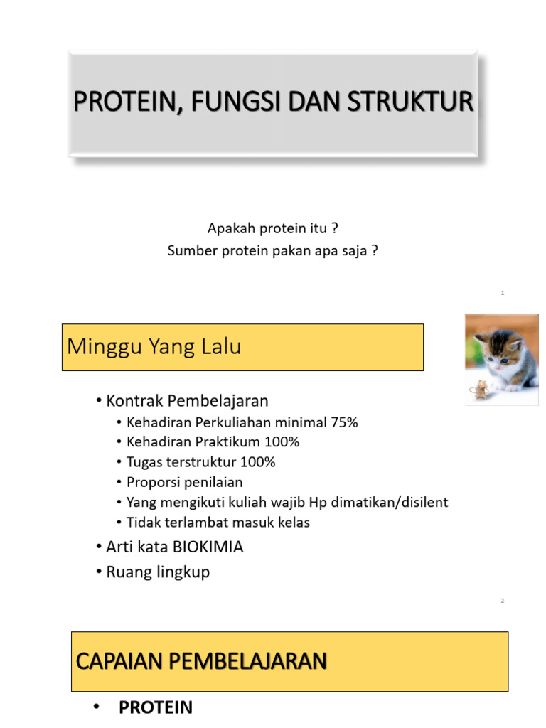 2 - Protein, Fungsi Dan Struktur | PDF