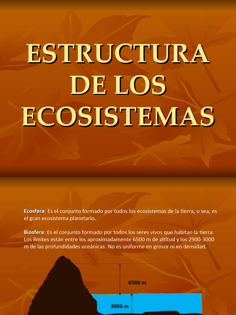 Estructura de Los Ecosistemas | PDF | Ecosistema | Ecología