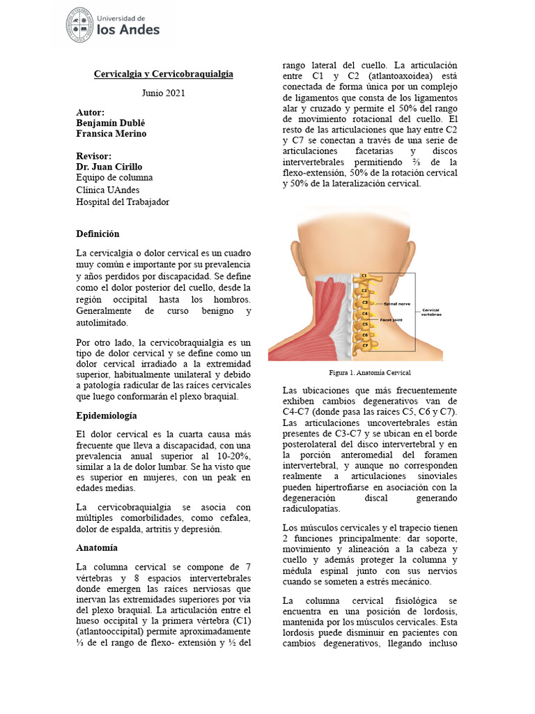 Cervicalgia y Cervicobraquialgia | PDF | Especialidades Medicas | Anatomía