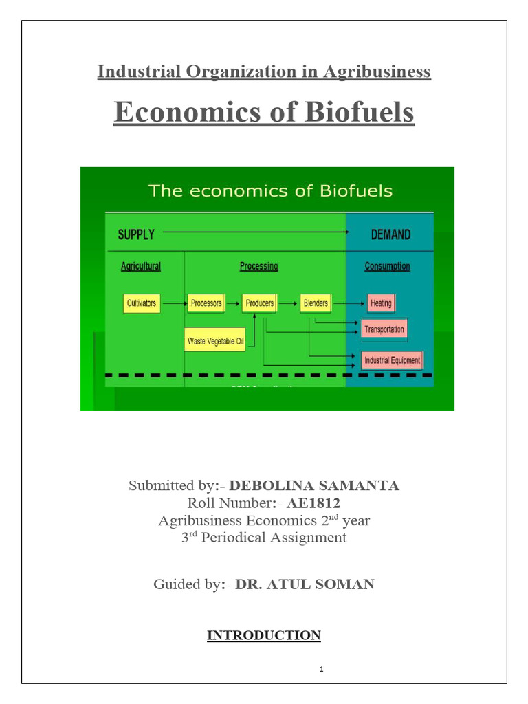 Biofuels: Types, Benefits, and Impact | PDF | Biofuel | Fuels
