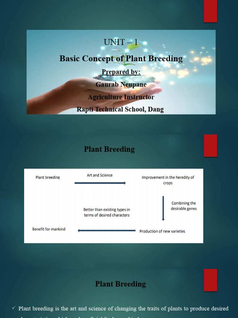 Basic Concept of Plant Breeding | Download Free PDF | Plant Breeding | Agriculture