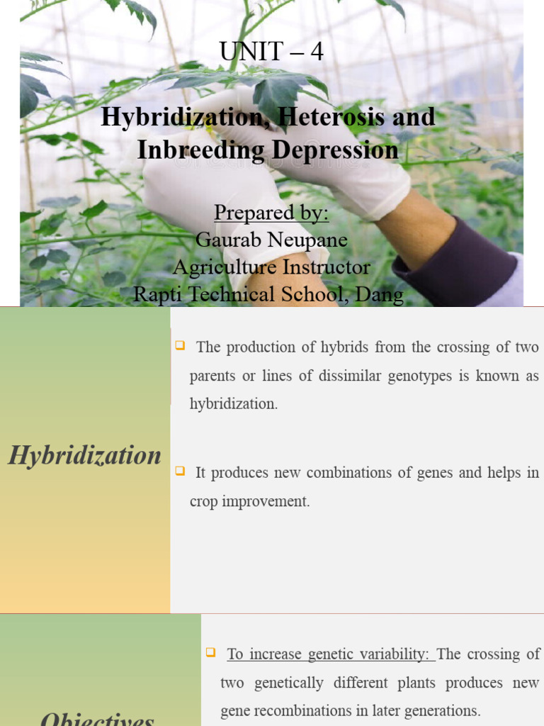 Hybridization, Heterosis and Inbreeding Depression | PDF | Inbreeding ...