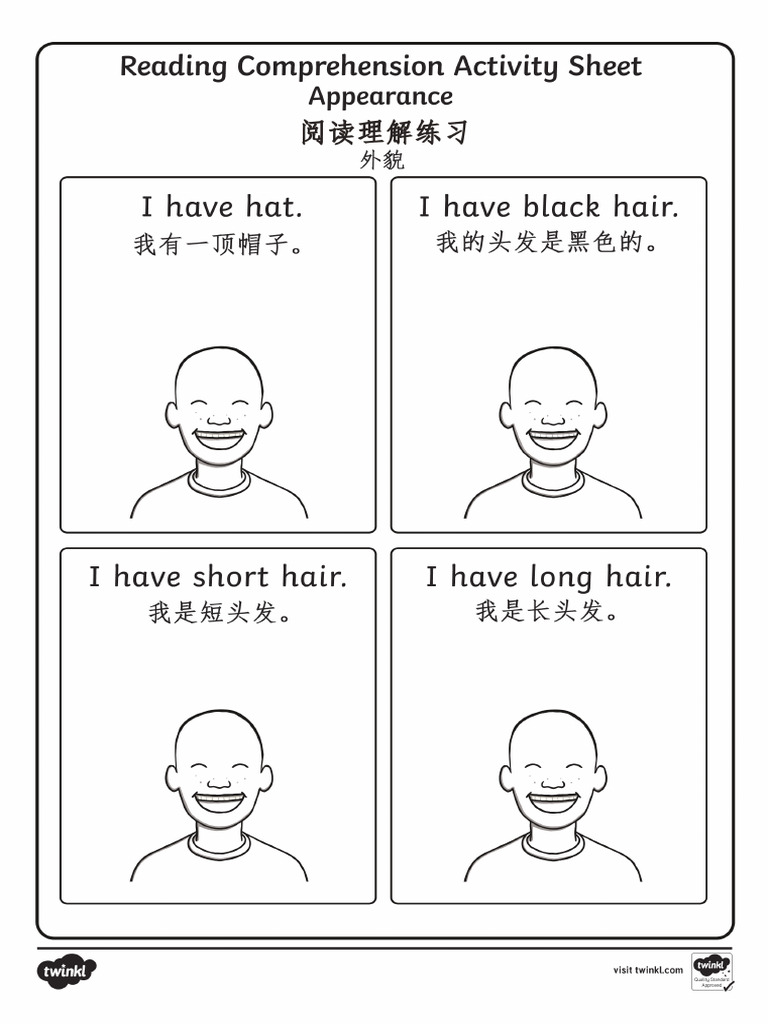 Ma T S 096 Reading Comprehension Activity Sheets English Mandarin ...