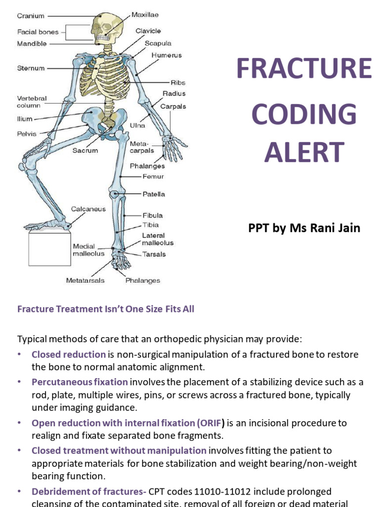 Fracture PPT ? | PDF | Causes Of Death | Musculoskeletal System