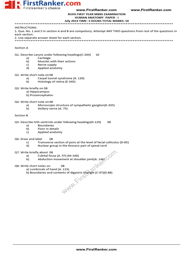 RUHS 1st Year MBBS Anatomy Paper I | PDF