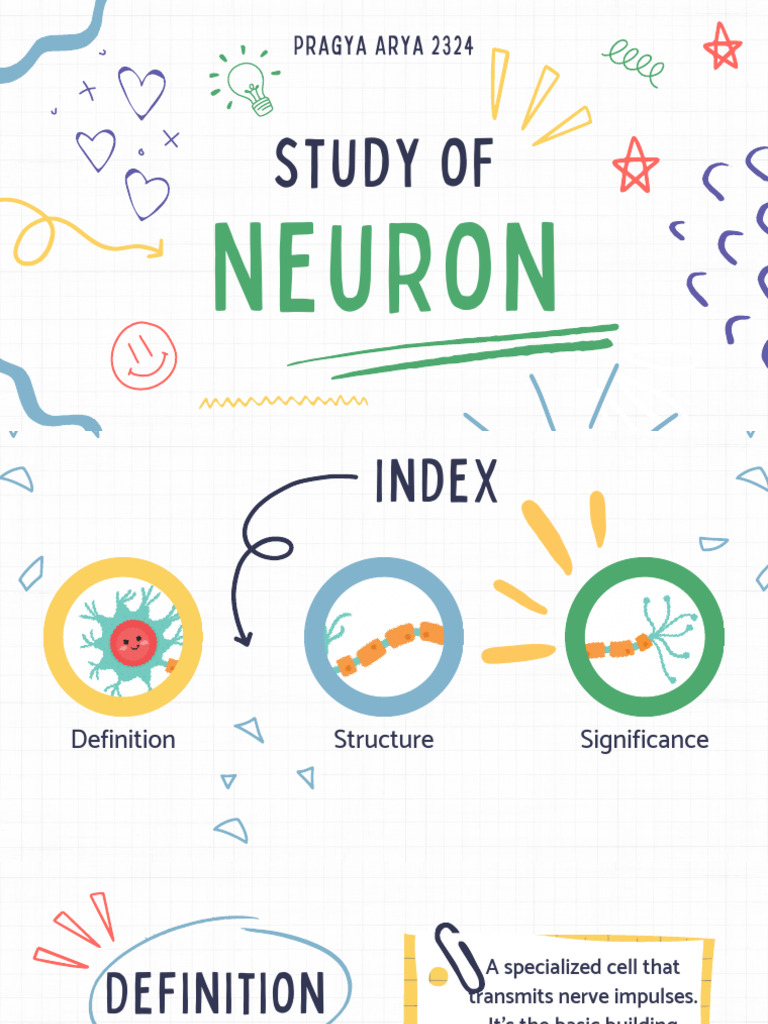 Physiology 2324 | PDF | Neuron | Axon