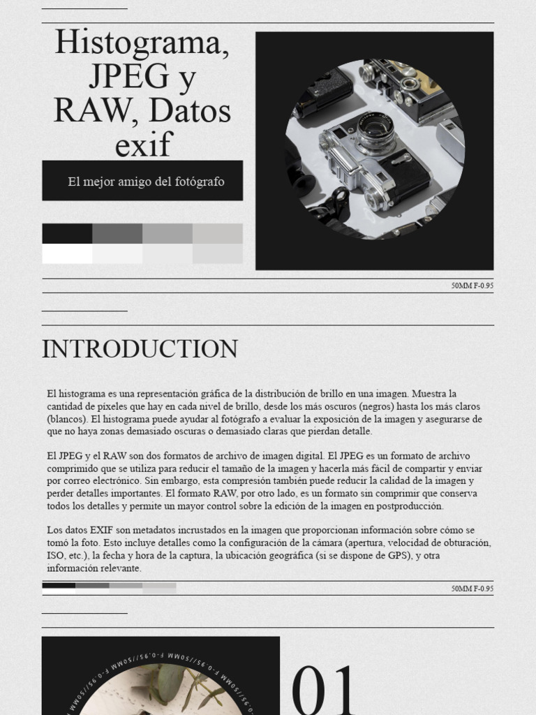 Histograma, JPEG y RAW, Datos exif | PDF | Formato de imagen sin ...
