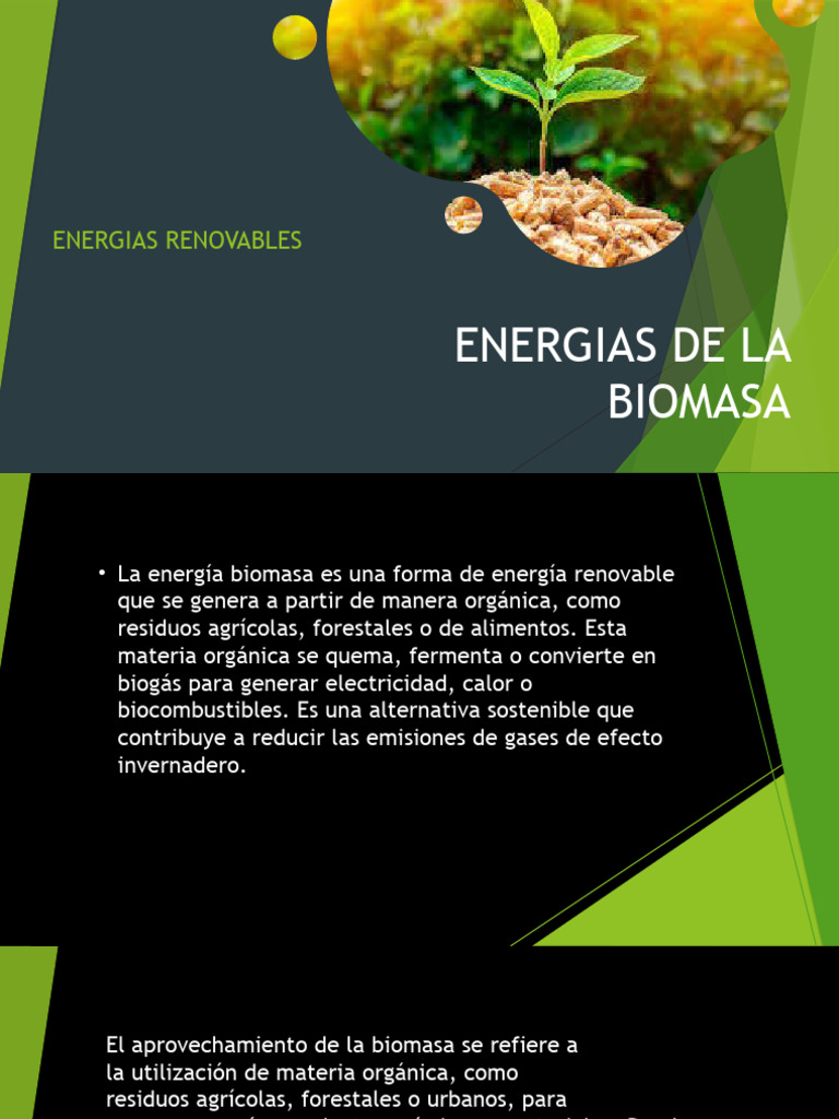Energia de la biomasa | PDF | Biomasa | Energía renovable