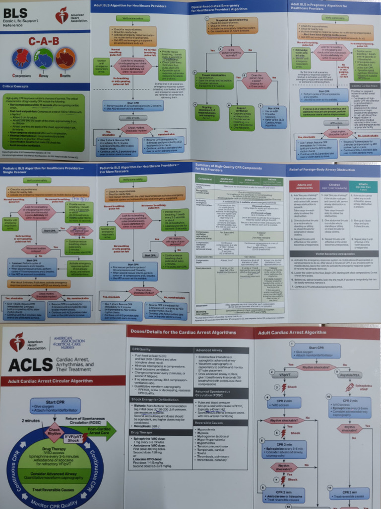 BLS Acls | PDF | Cardiopulmonary Resuscitation | First Aid