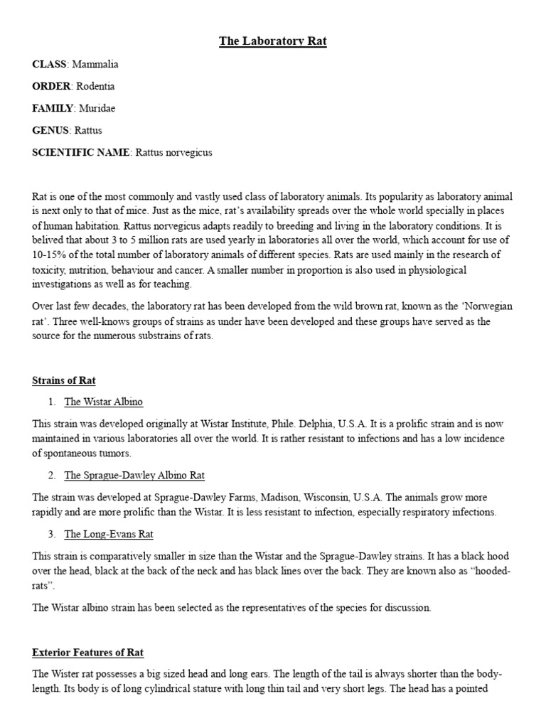 Laboratory Rat | PDF | Laboratory Rat