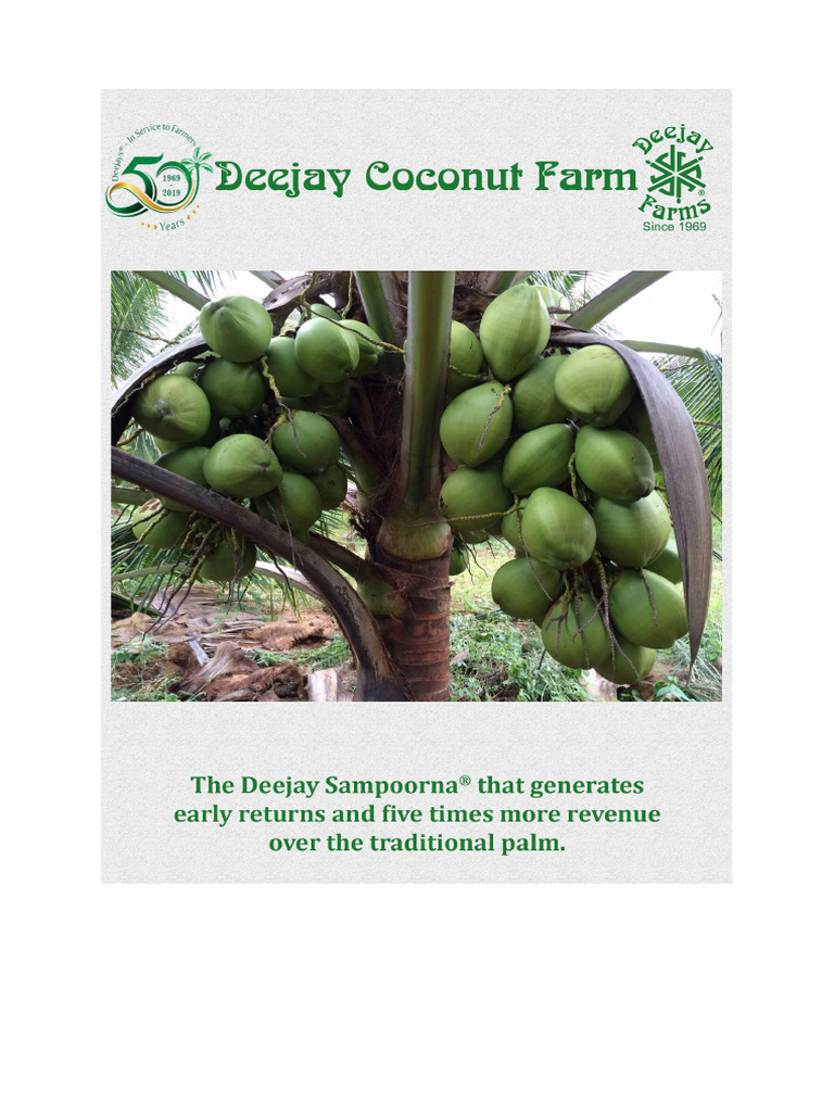 Deejay Brochure | PDF | Coconut | Agriculture