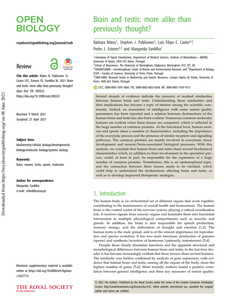 Brain and testis - more alike than previously thought | PDF | Testicle ...
