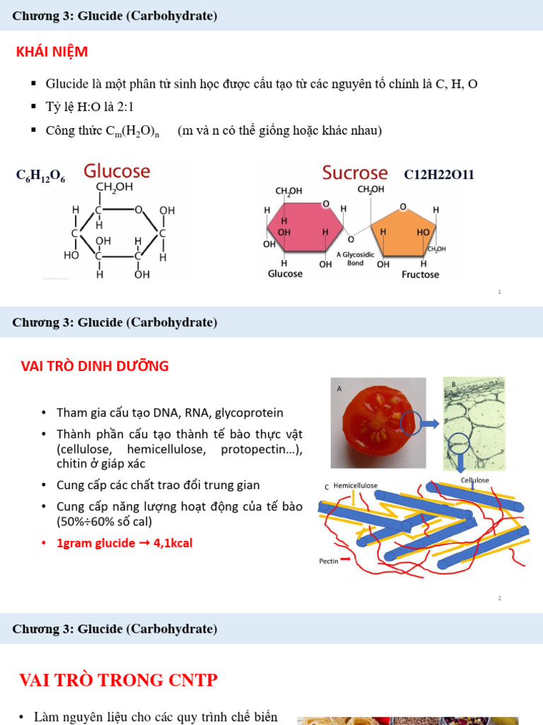 Chuong 3 Glucid | PDF
