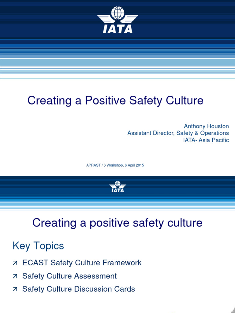 IATA Safety Culture from the Top Down | PDF | Behavior | Attitude ...