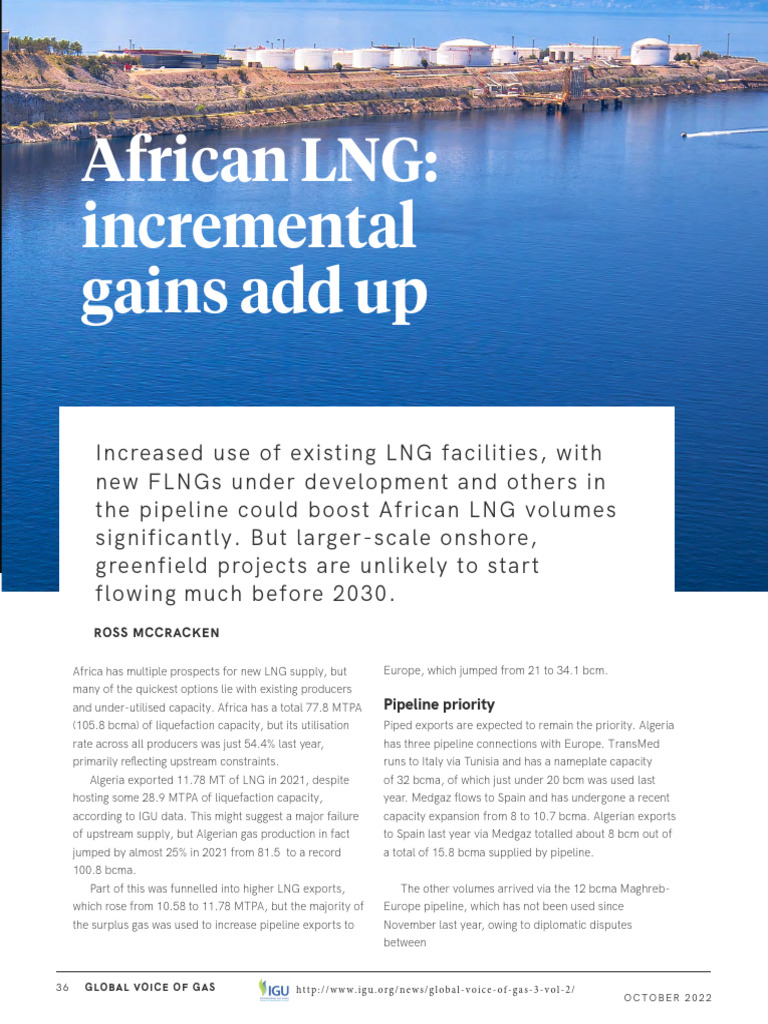 African LNG | PDF | Natural Gas | Liquefied Natural Gas