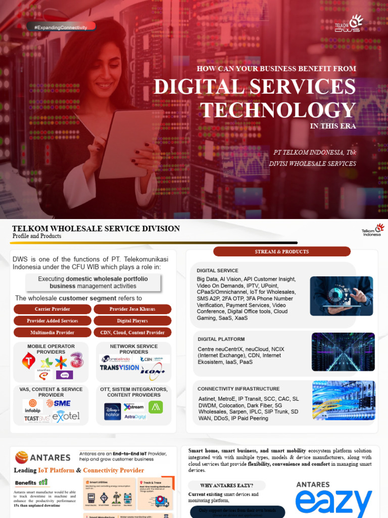 2024 Catalog Digital Services Telkom DWS | PDF | Internet Of Things | Cloud Computing