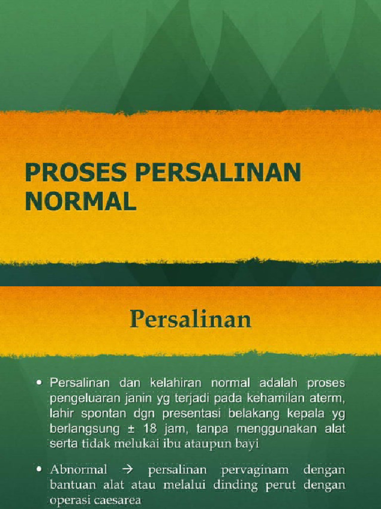 Proses Persalinan Normal | PDF