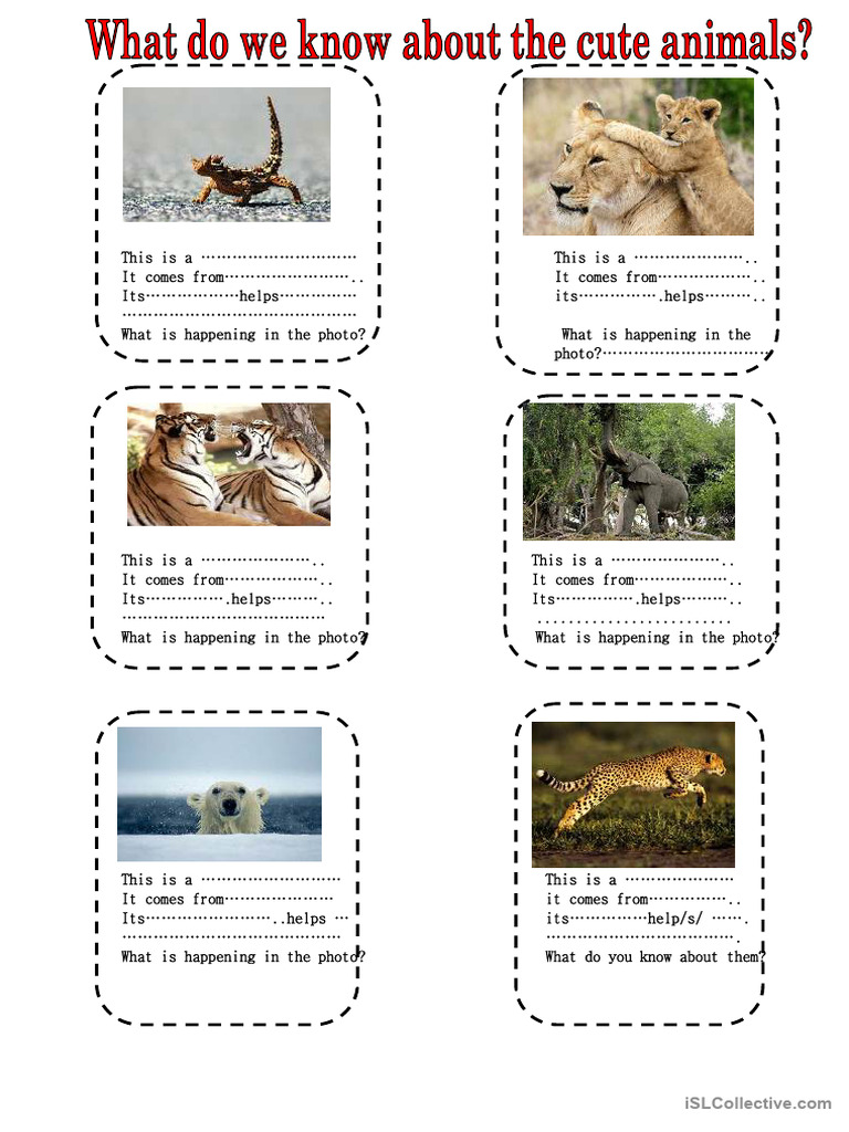 SPEAKING | PDF | Landscape | Geomorphology