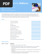 Cleaning Company Profile Overview | PDF