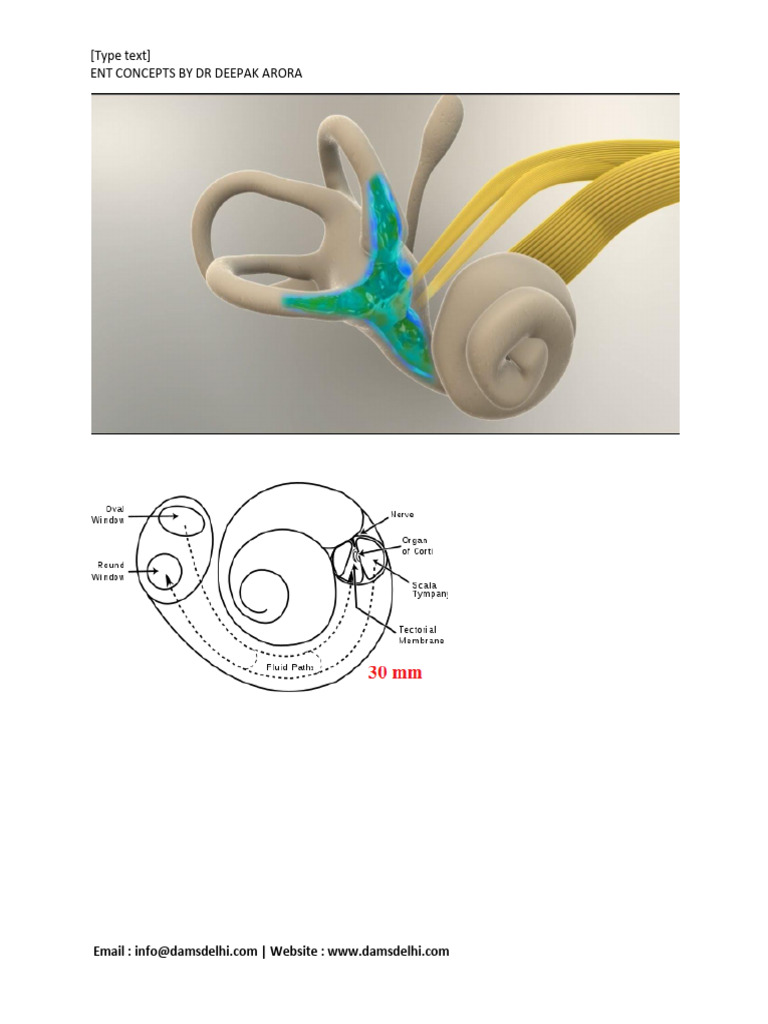 DR Deepak Ent Images Phase 2 | PDF | Otorhinolaryngology | Human Head ...