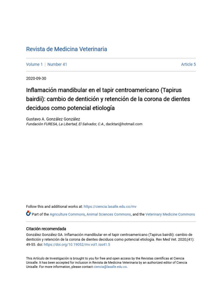 Inflamación Mandibular en El Tapir Centroamericano (Tapirus Baird | PDF ...