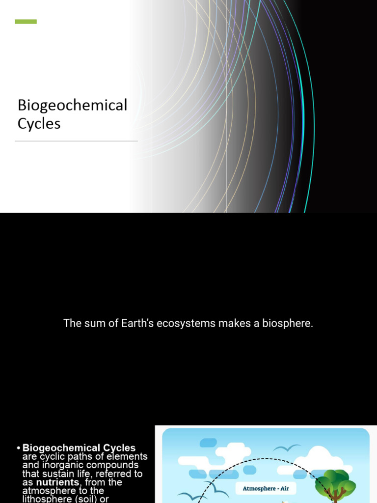 L4 Biogeochemical Cycles | PDF | Carbon Cycle | Soil