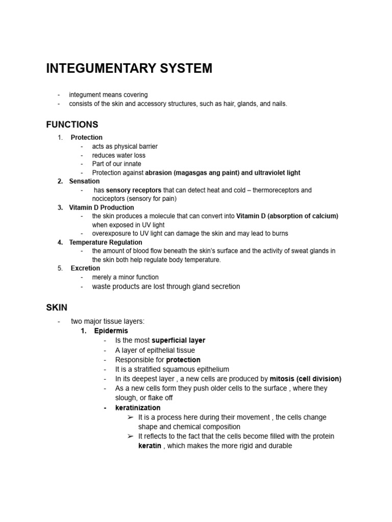 Integumentary System | PDF | Skin | Integumentary System
