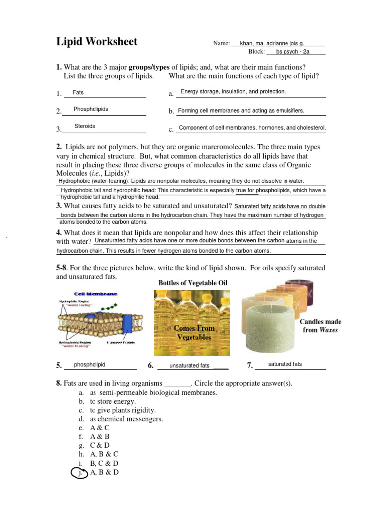 Lipid Worksheet | PDF | Lipid | Fatty Acid