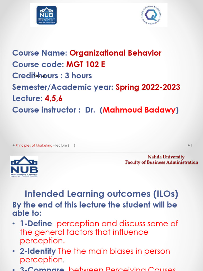 Lec 456 1 Pdf Perception Diversity Business 