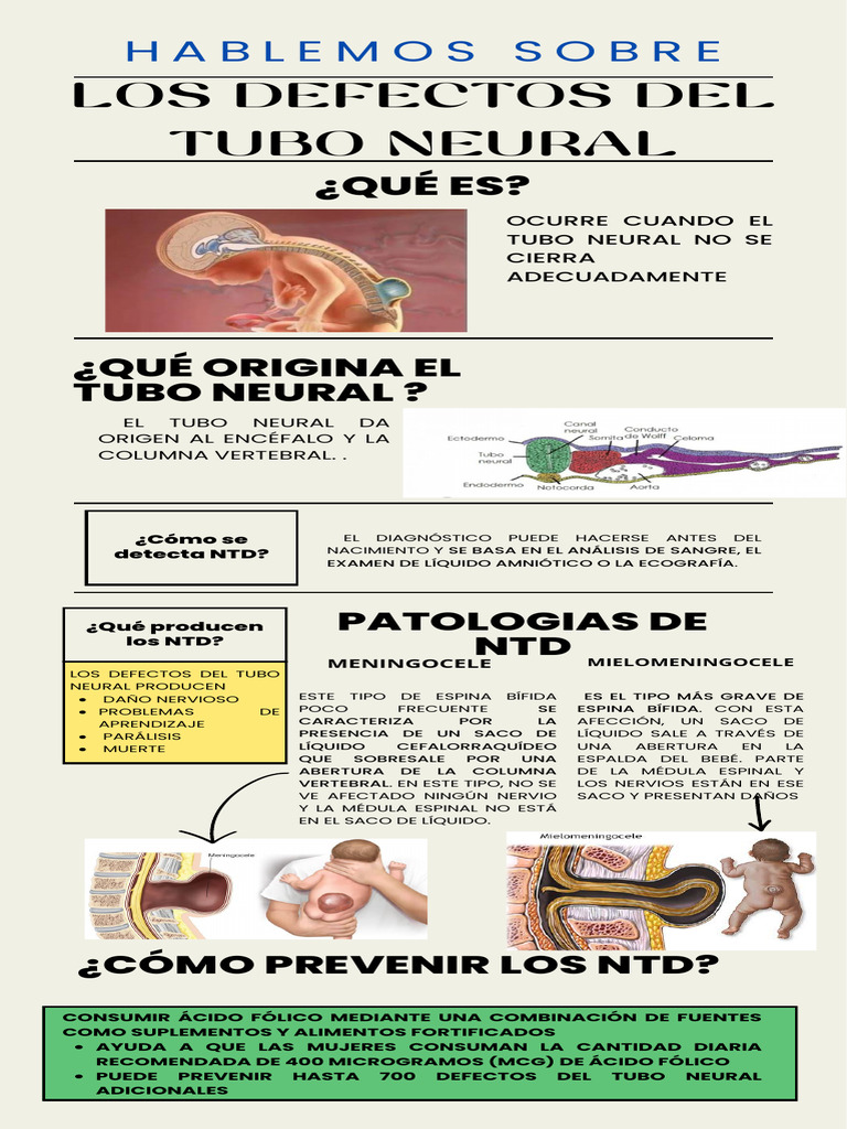 Defectos del tubo neural | PDF