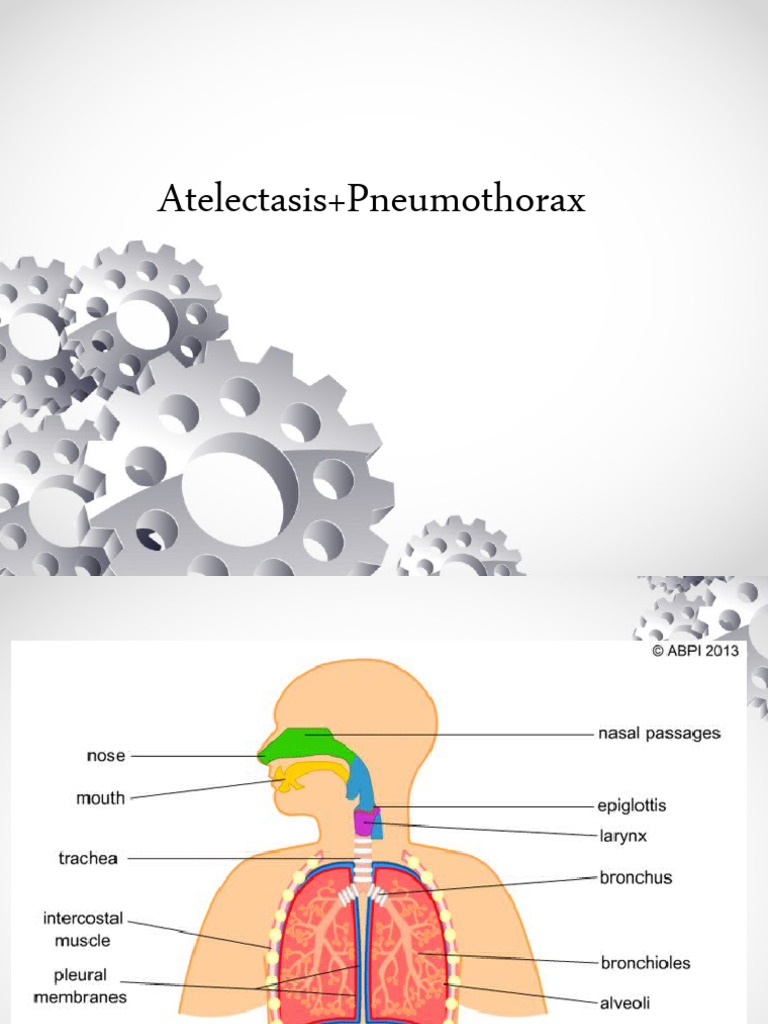 Atelectasis | PDF | Respiratory Tract | Lung