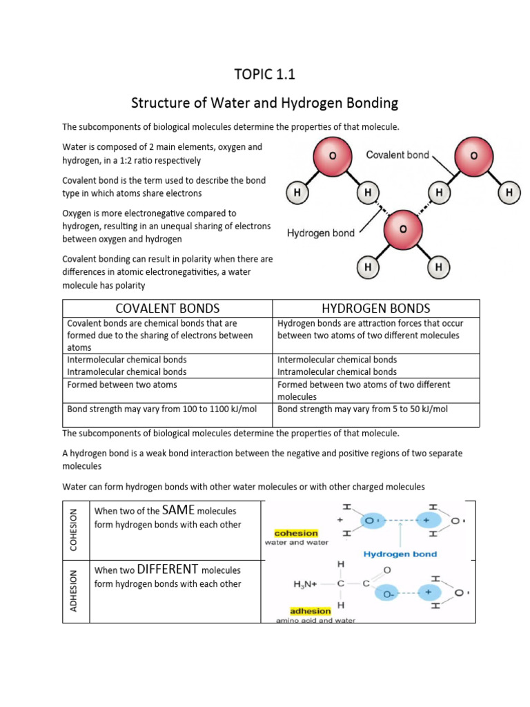 MMMMMMMMMM | PDF | Chemical Bond | Hydrogen Bond
