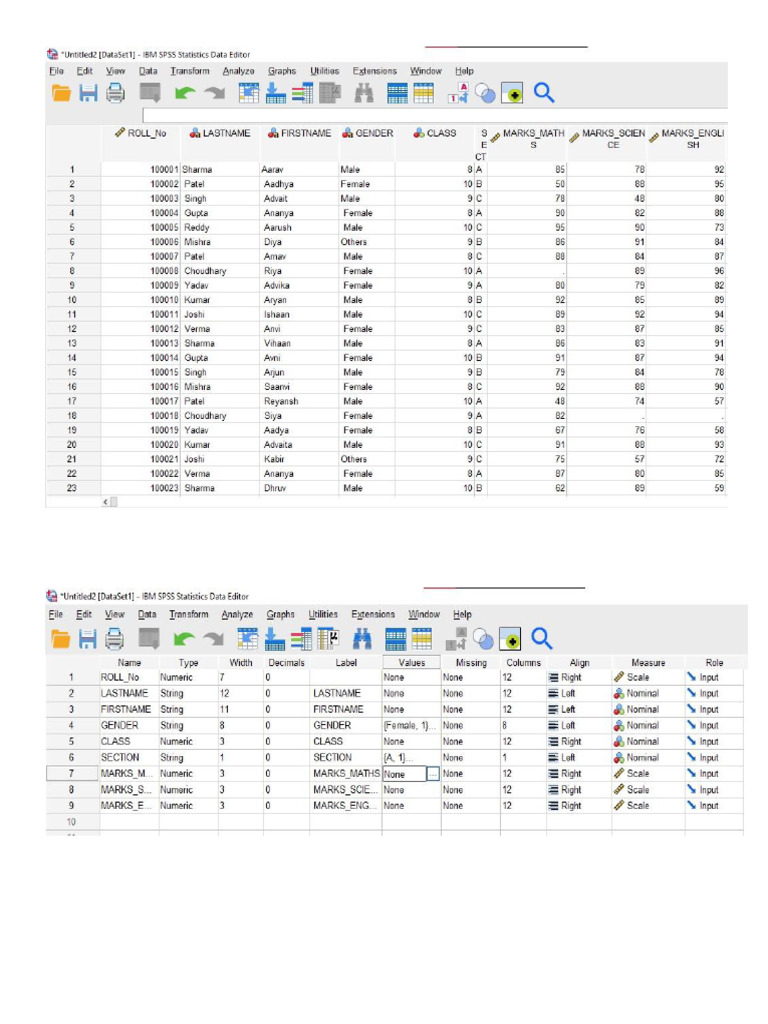 SPSS Printout Ss | PDF