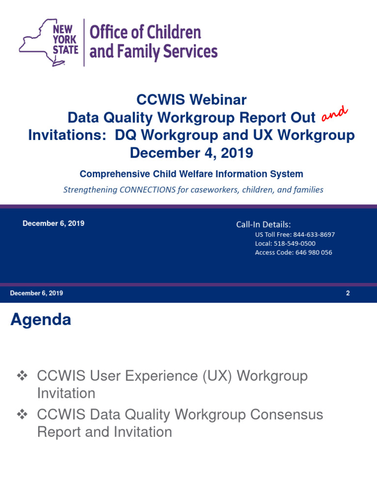 CCWIS Data Quality Workgroup Report | PDF | Information Technology | Computing