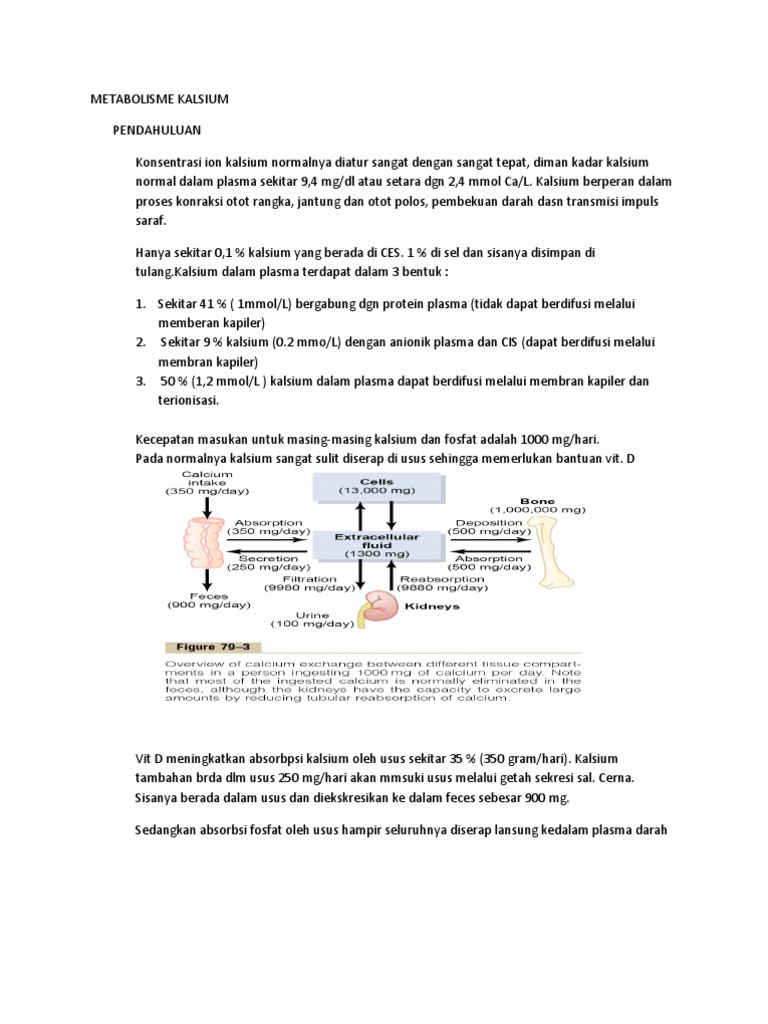 Metabolisme Kalsium dan Perannya | PDF