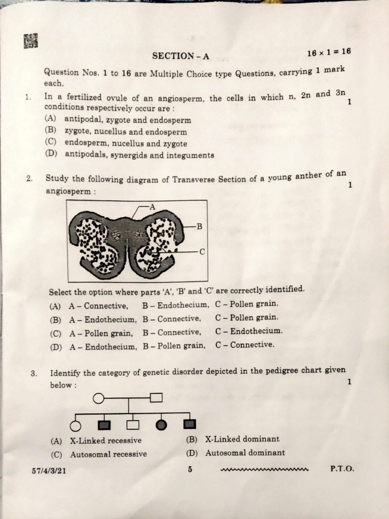 Bio paper | PDF | Rna | Dna