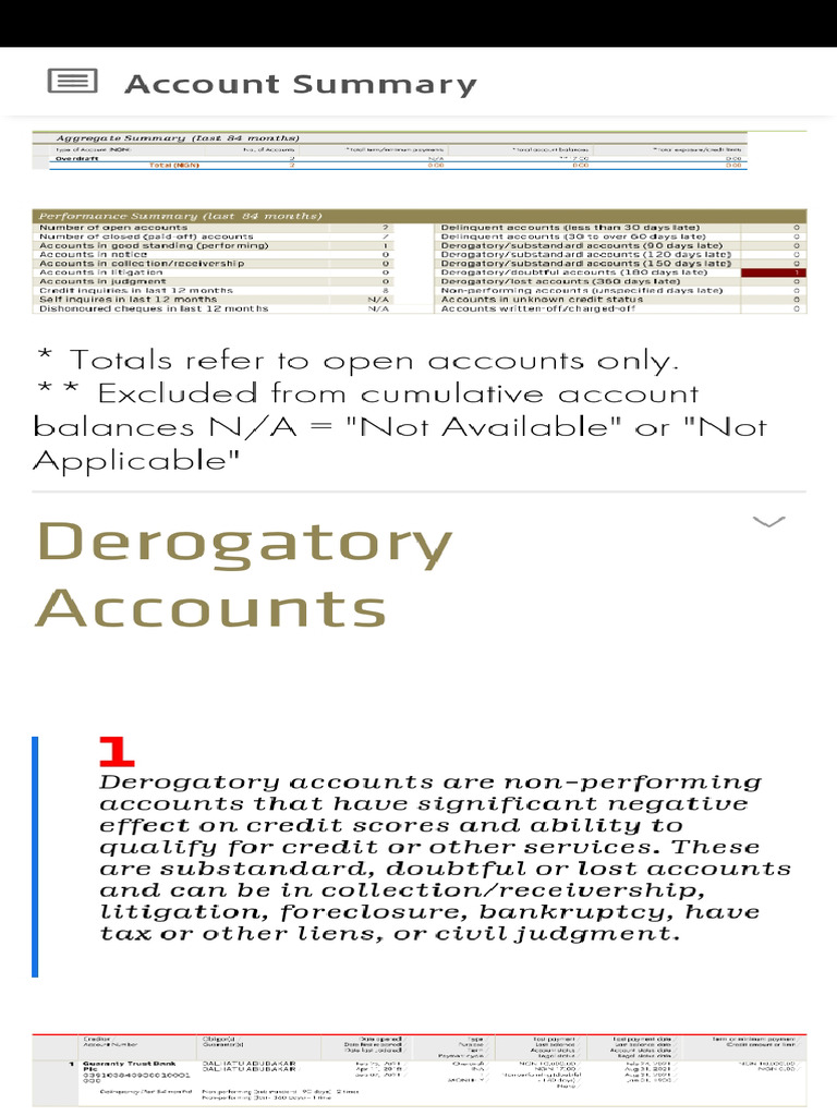 Derogatory Account | PDF