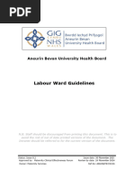 Maternity Triage BSOTS Clinical Guideline TACS Aug 2024 | PDF ...
